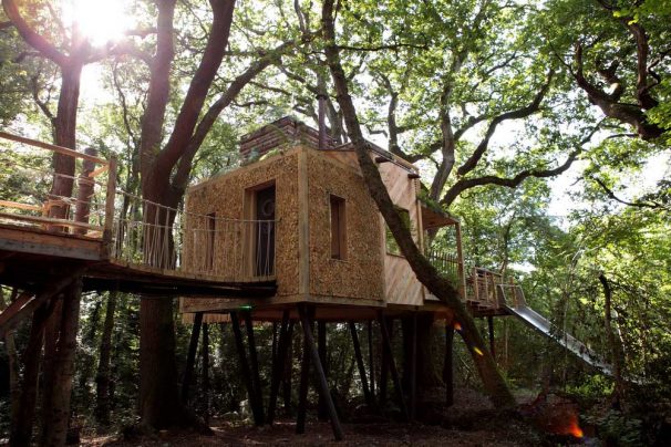 Filming a £150,000 Tree House in Dorset - Nick Stubbs