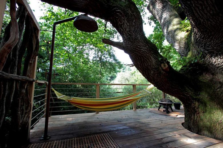 Filming a £150,000 Tree House in Dorset - Nick Stubbs